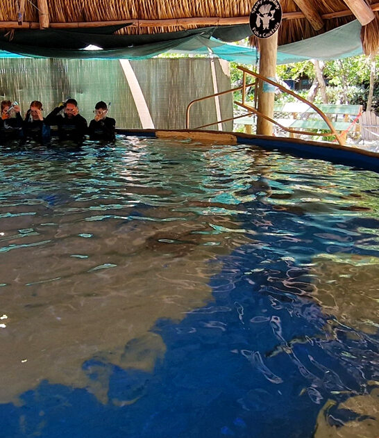 aquarium encounters florida FTR