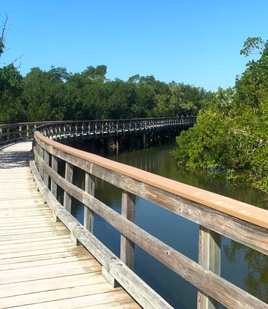 beginner friendly hike florida ftr