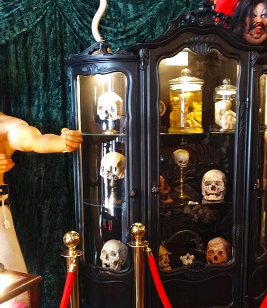 bizarre shop florida ftr