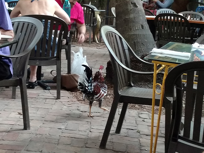 blue heaven cafe 4 1