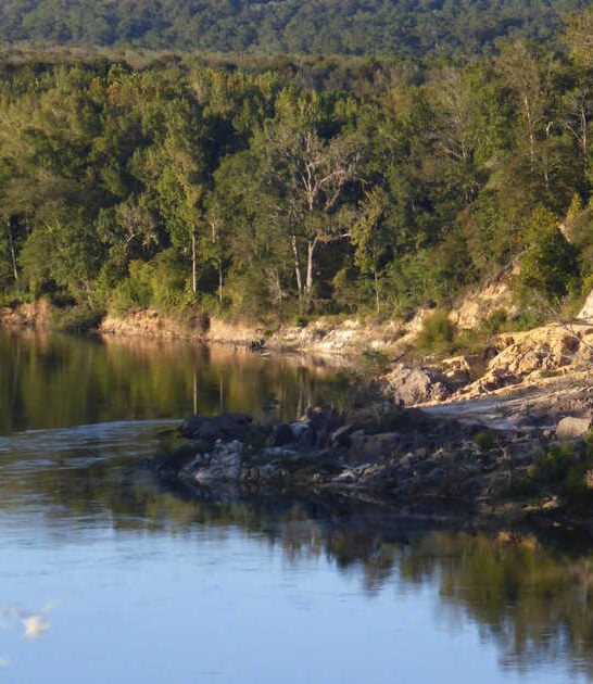 bluff preservation area florida ftr