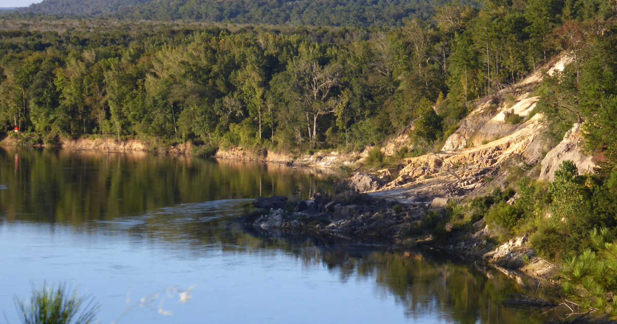 Most People Don’t Know This Hidden Florida Preserve Boasts Dramatic ...