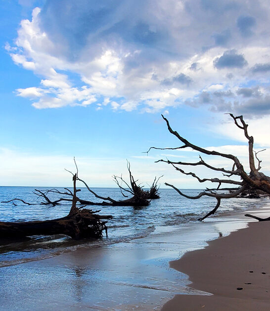boneyard beach florida ftr