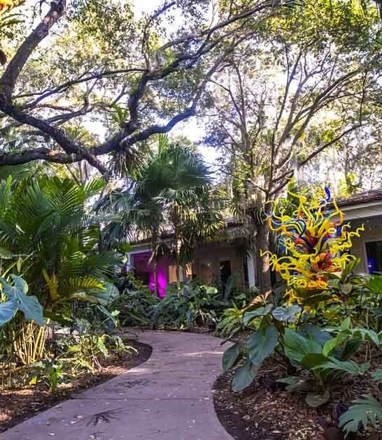 butterfly art garden florida ftr