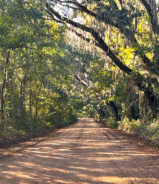 canopy roads florida ftr