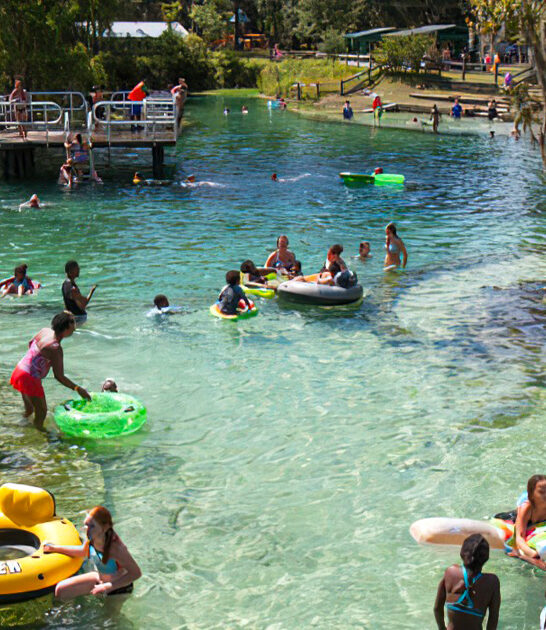 day trip park florida ftr