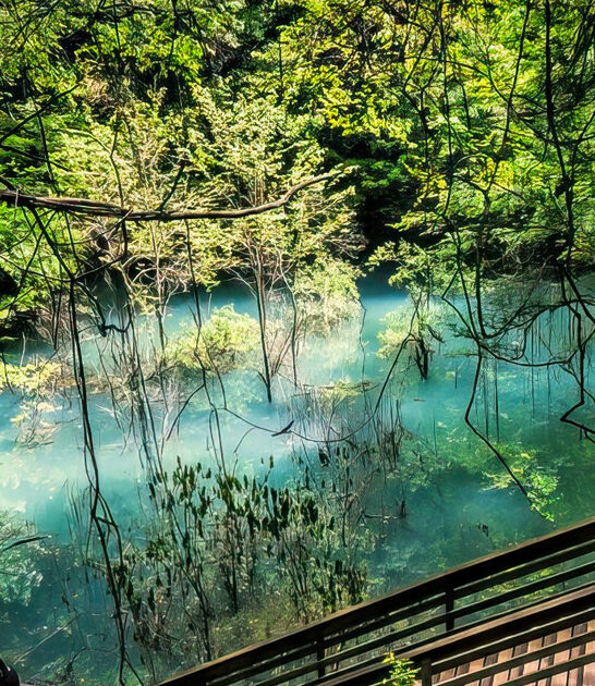 devil millhopper sinkhole florida ftr