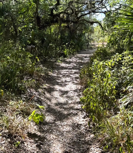 enchanted forest sanctuary florida ftr