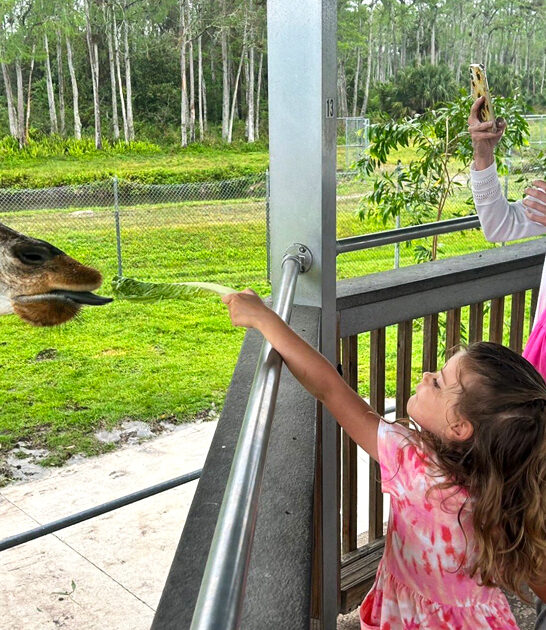 enchanting amusement park florida FTR