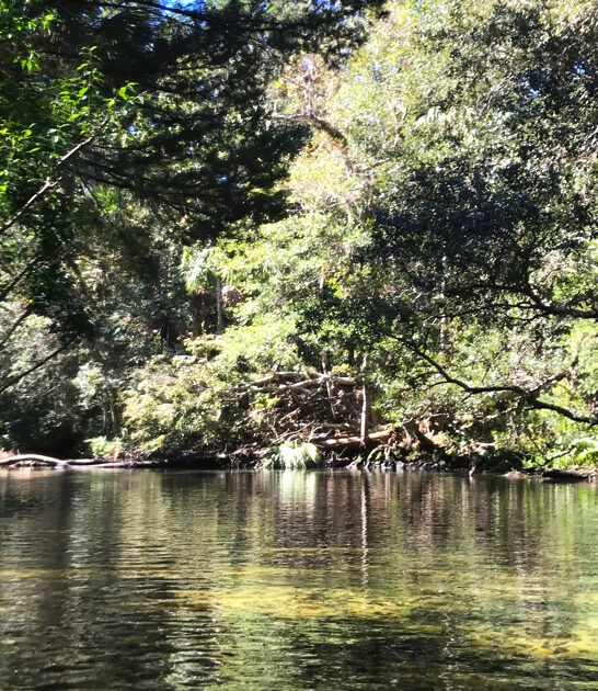 enchanting florida river caves ftr