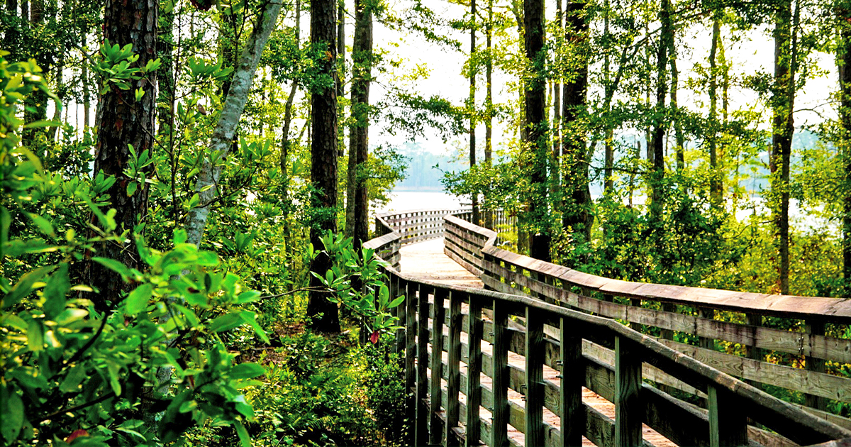 enchanting hidden park florida ftr