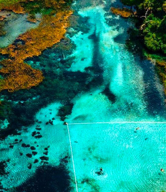 enchanting park spring florida ftr