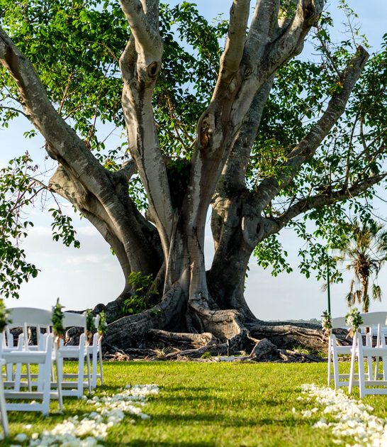 enchanting spring gardens florida ftr
