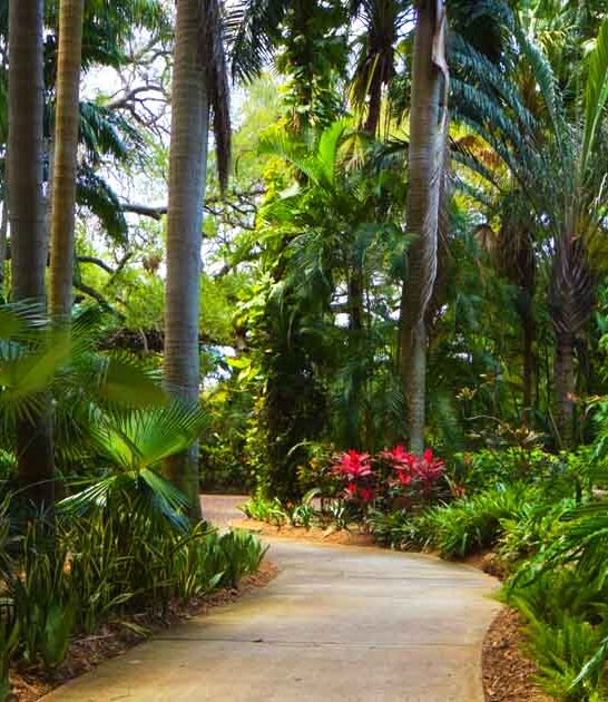 enchanting sunken gardens florida ftr