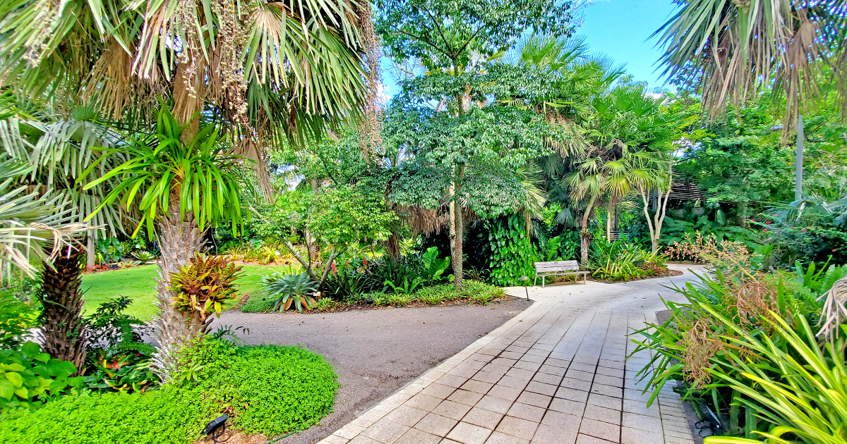 exotic brazilian garden florida ftr