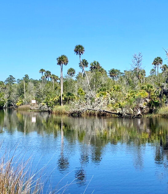 explore state park florida ftr