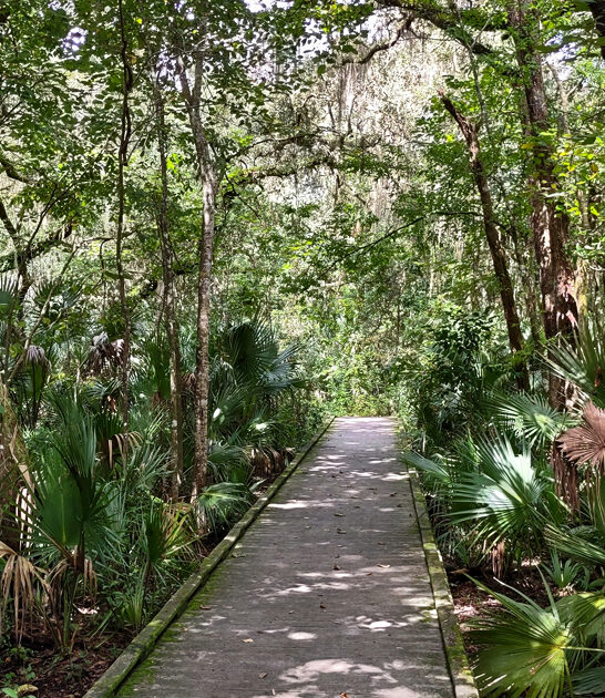 forest wildlife sanctuary florida ftr