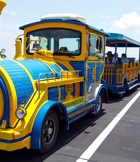 forgotten island train florida ftr