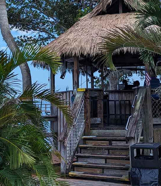 fried bologna sandwich florida ftr