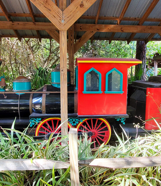 gator express train florida ftr