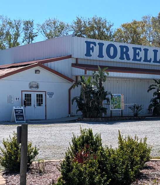 hancrafted winery florida ftr