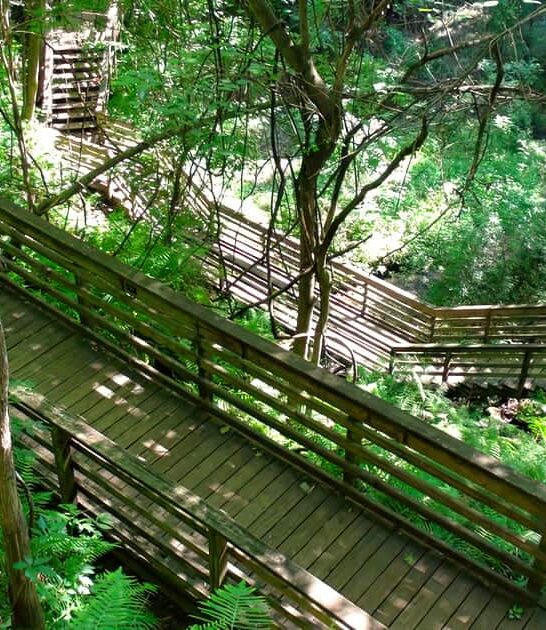 hidden state parks florida ftr