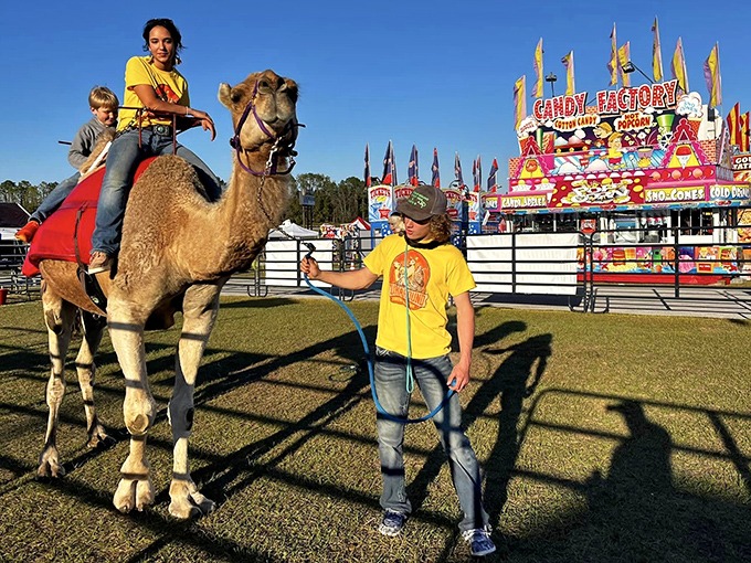 The green tree python's vibrant coloration serves as nature's warning sign &ndash; beauty in the wild often comes with serious survival skills.
