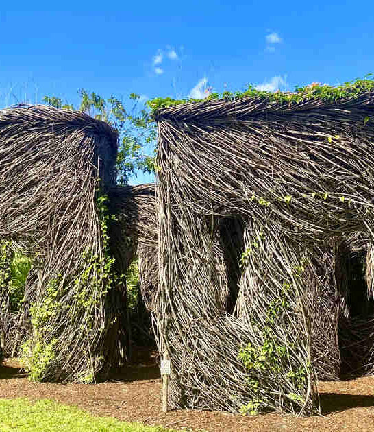 interactive children maze florida ftr