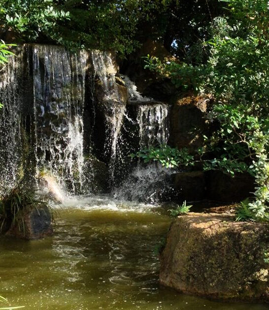 japanese garden florida ftr