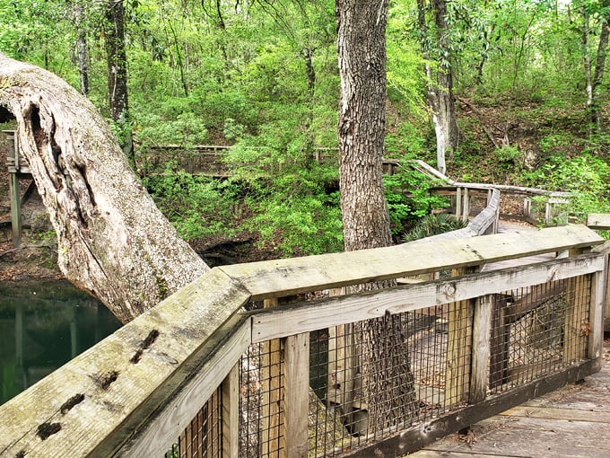 leon sinks geological area 2