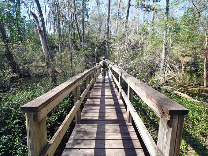 leon sinks geological area 3