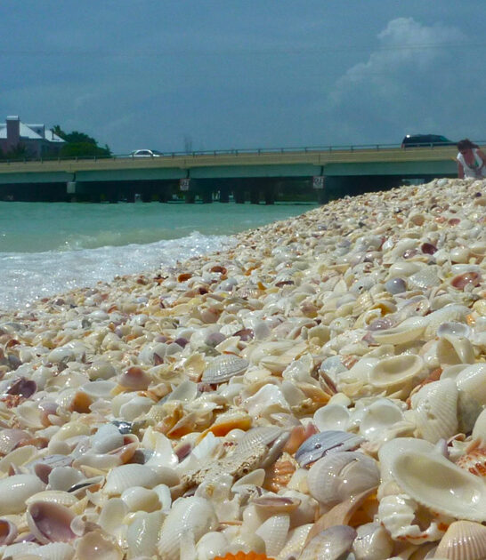 little known beach florida ftr