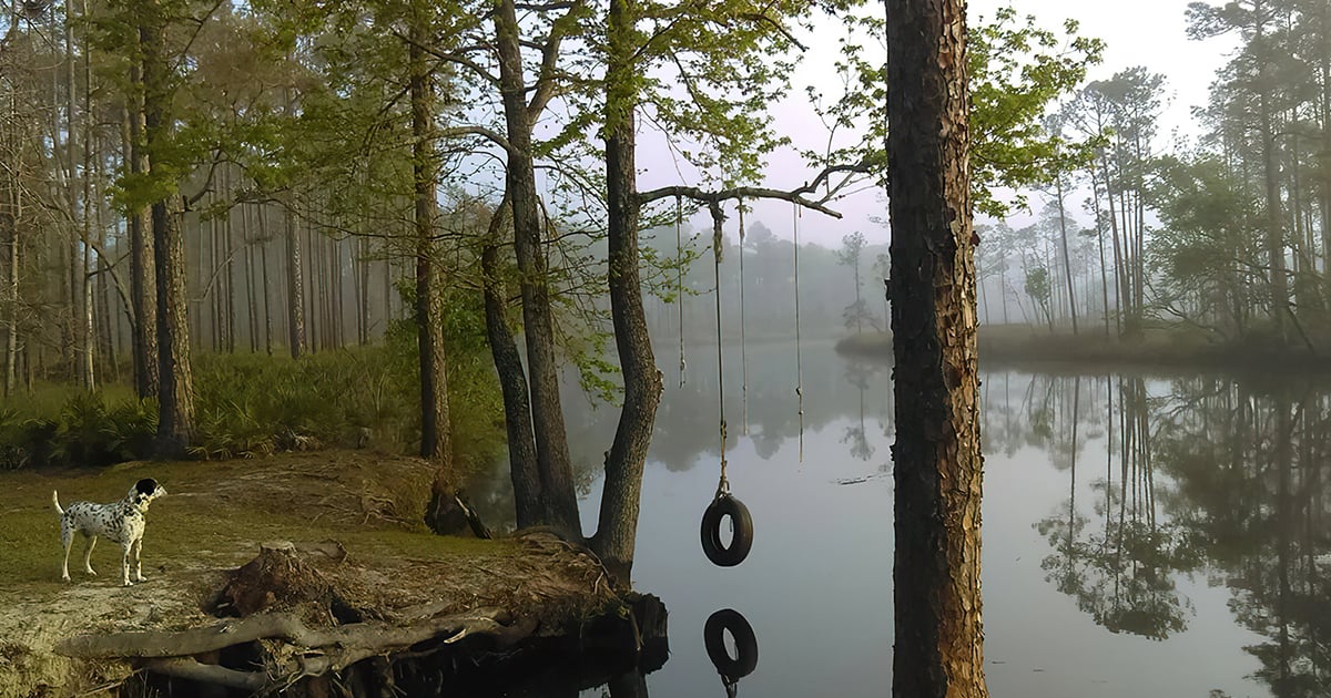 little known forest florida ftr