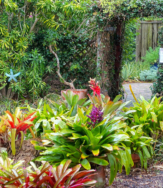 magical fairytale garden florida ftr