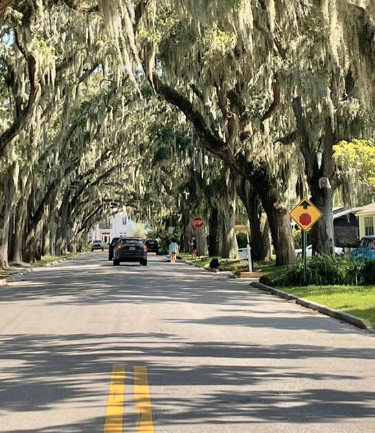 magical street florida ftr