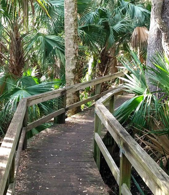 majestic state park florida ftr