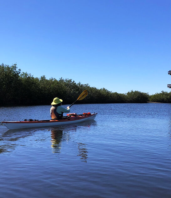 mangrove nature preserve florida ftr