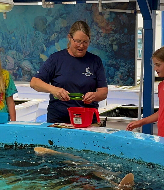 marine aquarium florida ftr