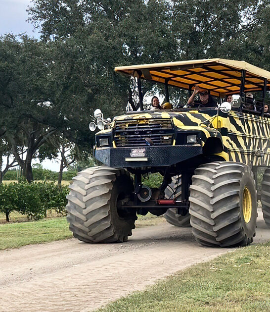 monster truck ride florida ftr