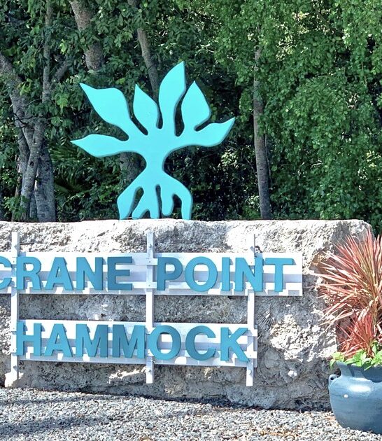 museum nature center florida ftr