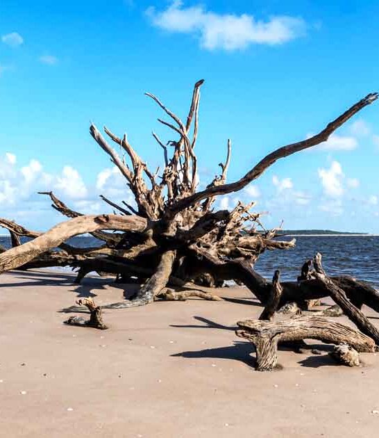 mysterious beach island florida ftr