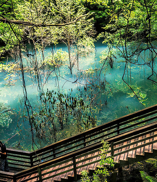 mystical state park florida ftr