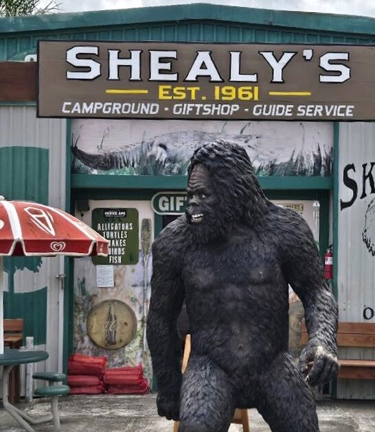 offbeat roadside attraction florida ftr