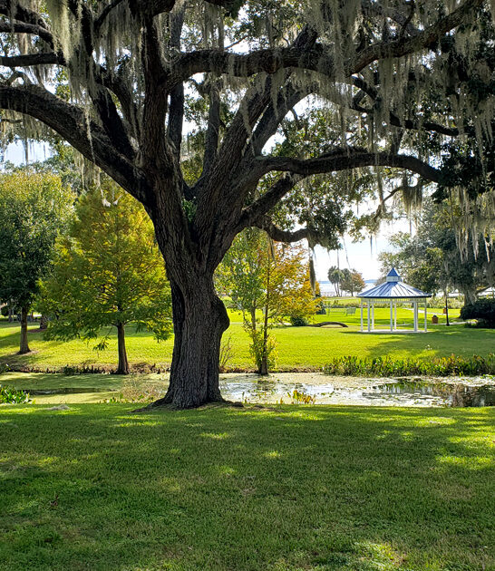 park islands florida ftr