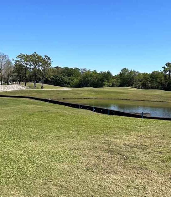 peaceful golf course florida ftr