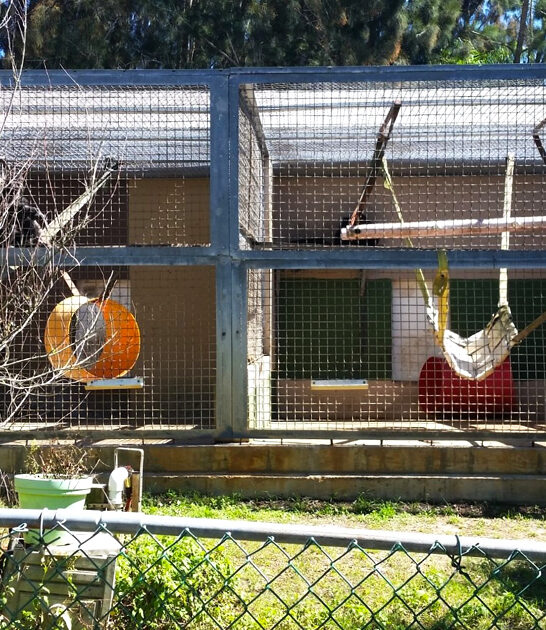 primate sanctuary florida ftr