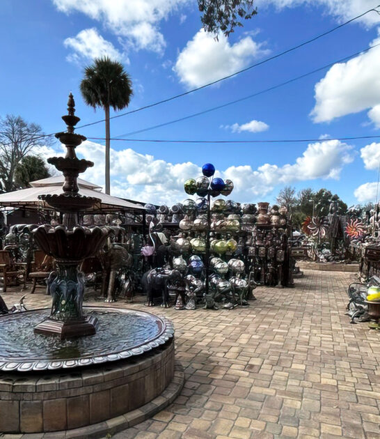 quirky roadside yard florida ftr