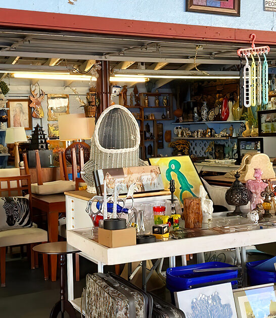 rare flea market florida ftr