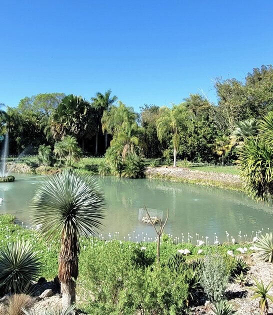 rare plants garden florida ftr