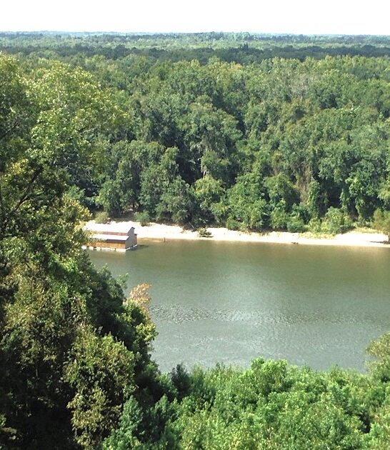 rare state park florida ftr